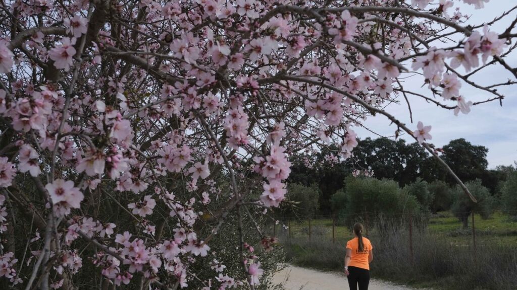 Guaro, Málaga: qué ver, qué hacer, historia y cómo llegar