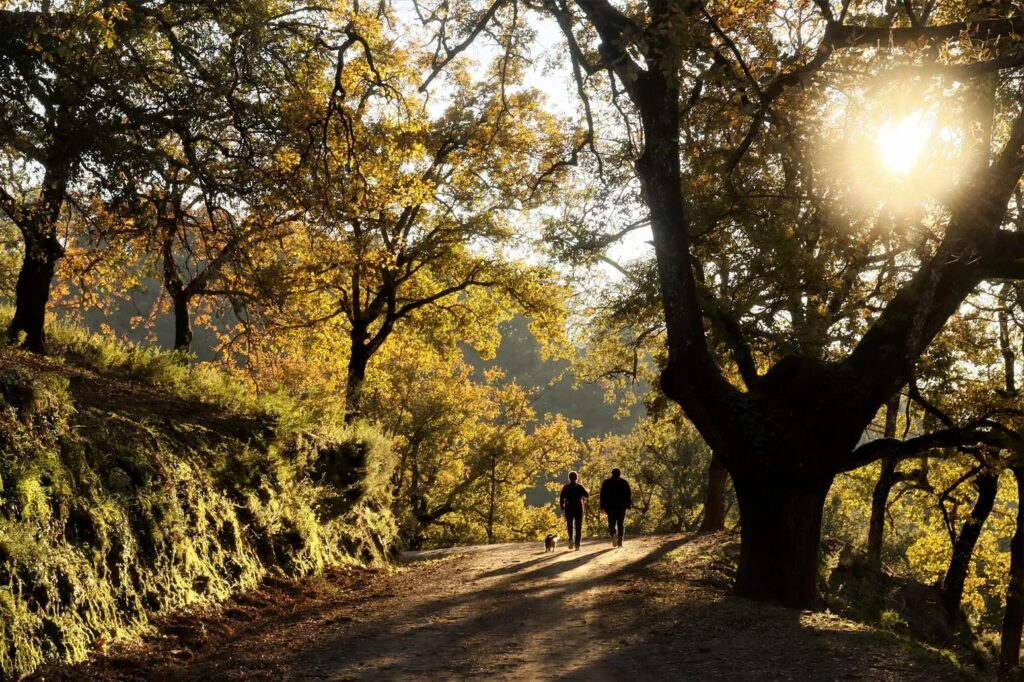 ¿Qué ver en Gaucín, qué hacer y cómo llegar?